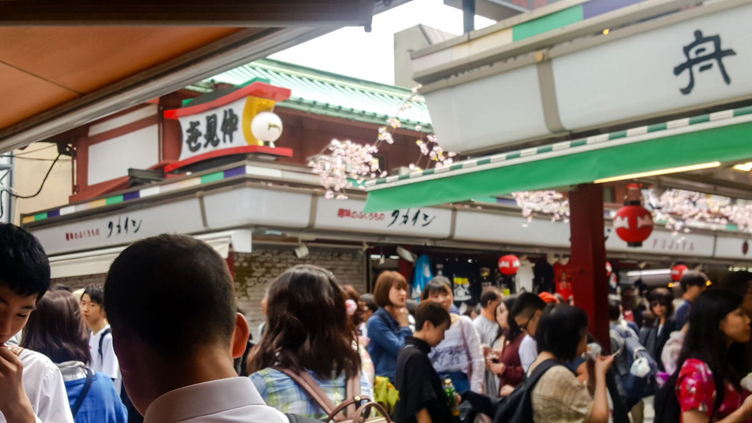 A 2-Week Travel Plan in Japan – Omoi Life Goods